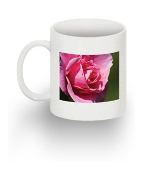 Standard 11oz mug with 1 image LH - Dartmoor Photographic UK