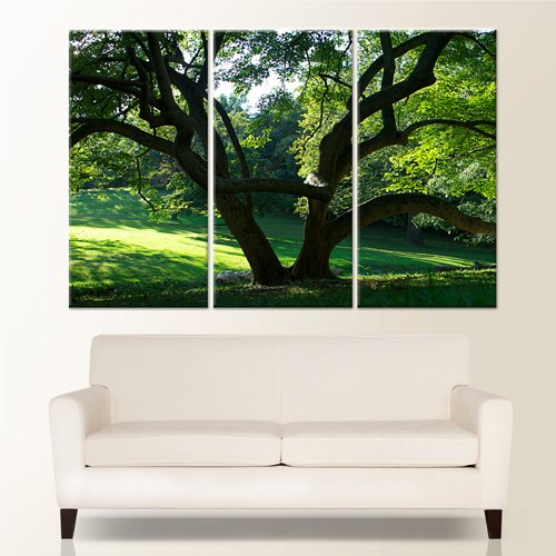 Sharp Photo 40 x 60 (3 20x40 Panels) Canvas Series - Sharp Photo