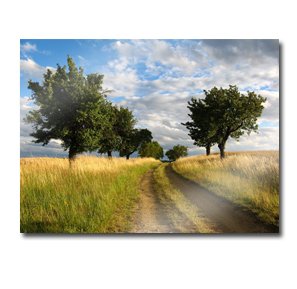 Fromex Photo & Digital 16 x 24 Horizontal Acrylic - Fromex Photo & Digital