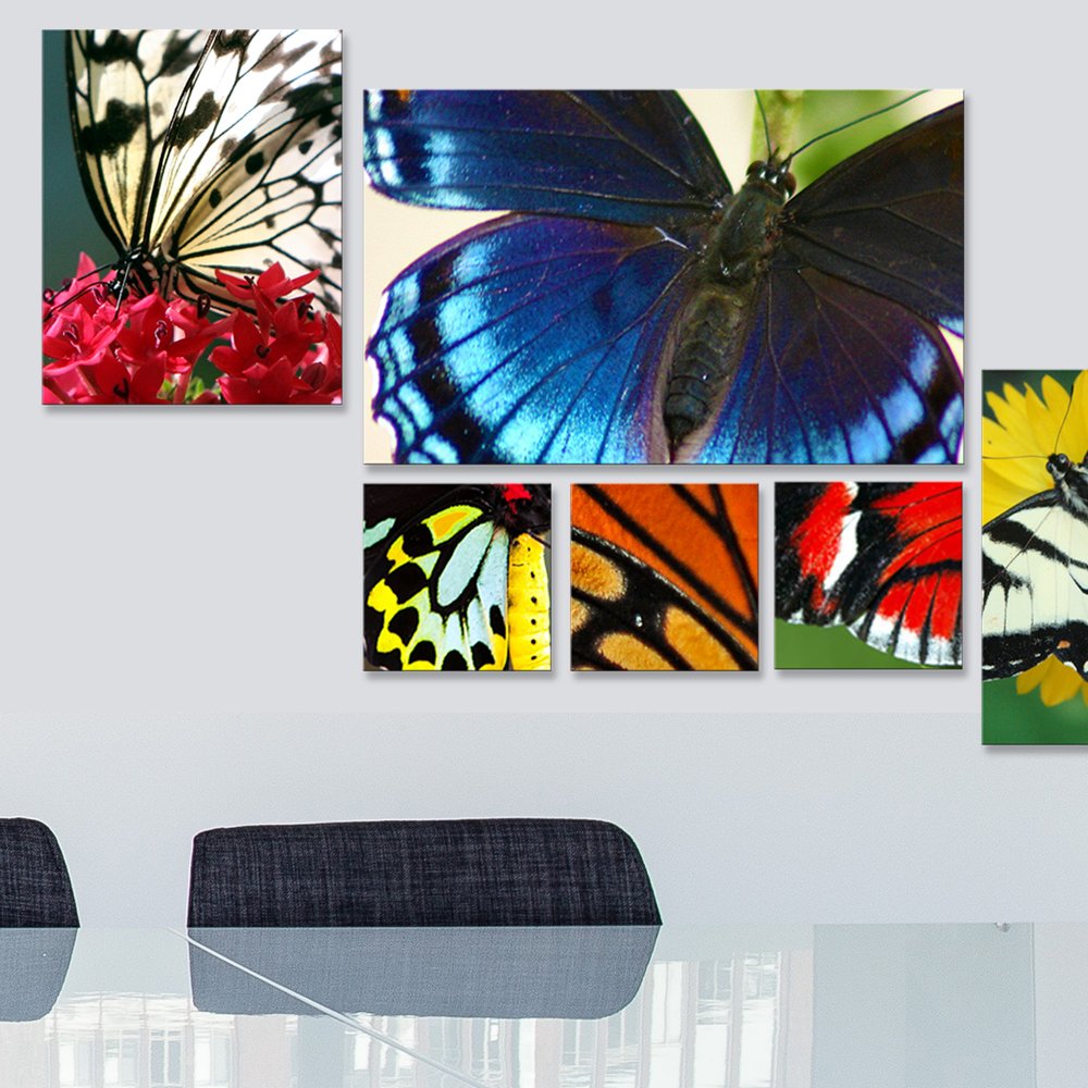 Glass Art - Midland Camera House