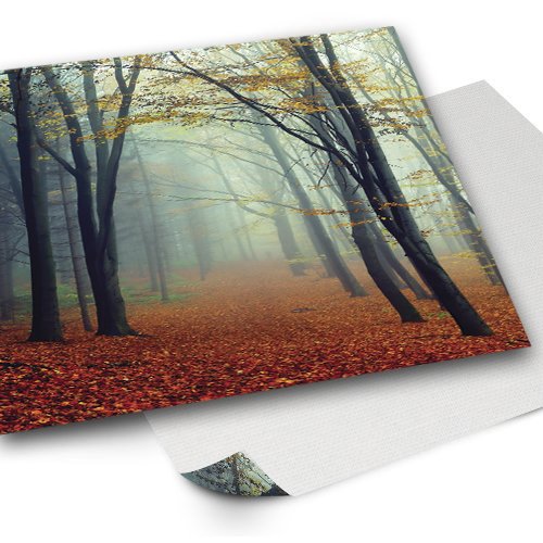 Enlargements and Fine Art Prints - Precision Camera & Video