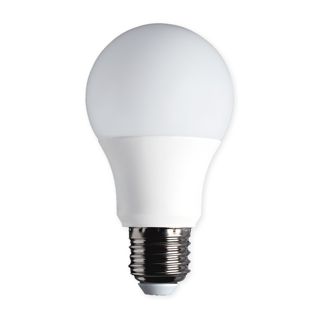 Studio Equipment - Delaware Camera - Jack's Cameras - Camera Spot