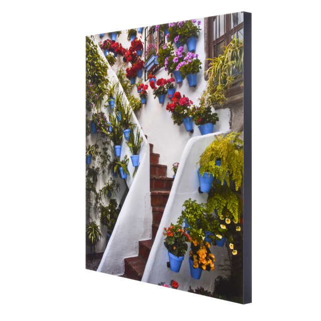 16x20 Premium 3/4" Mounted Print - The Photo Center