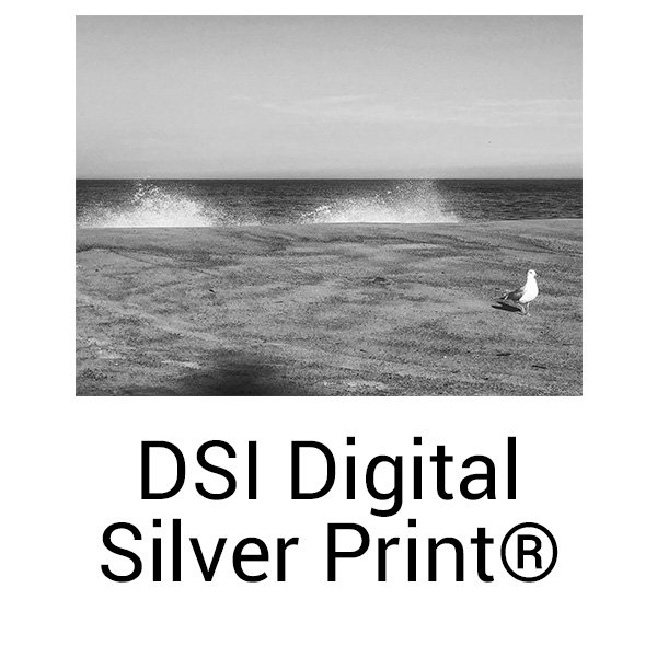 Digital Silver Imaging What is a DSI Digital Silver Print® - Digital ...