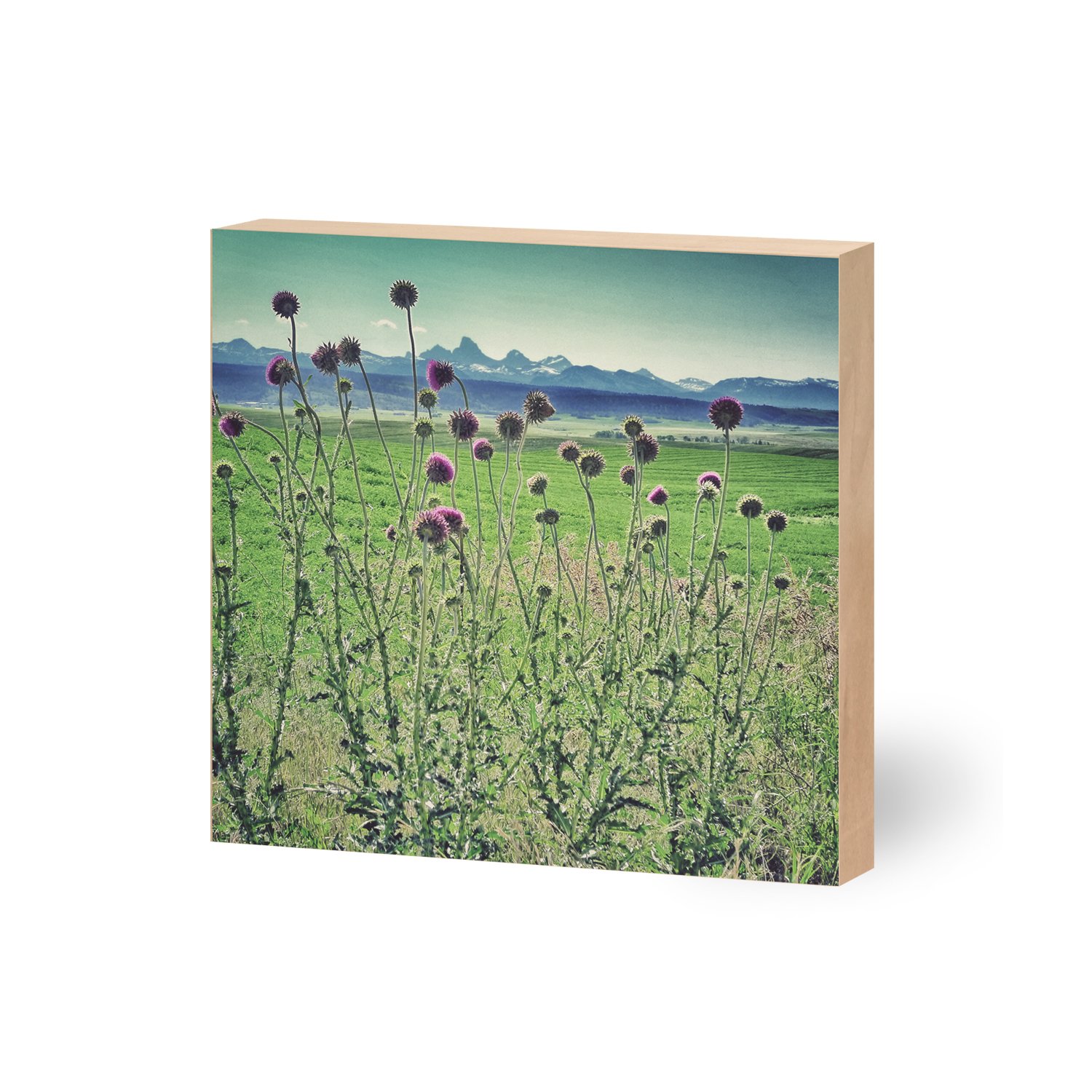 8x8 Wood Block - Mike's Camera