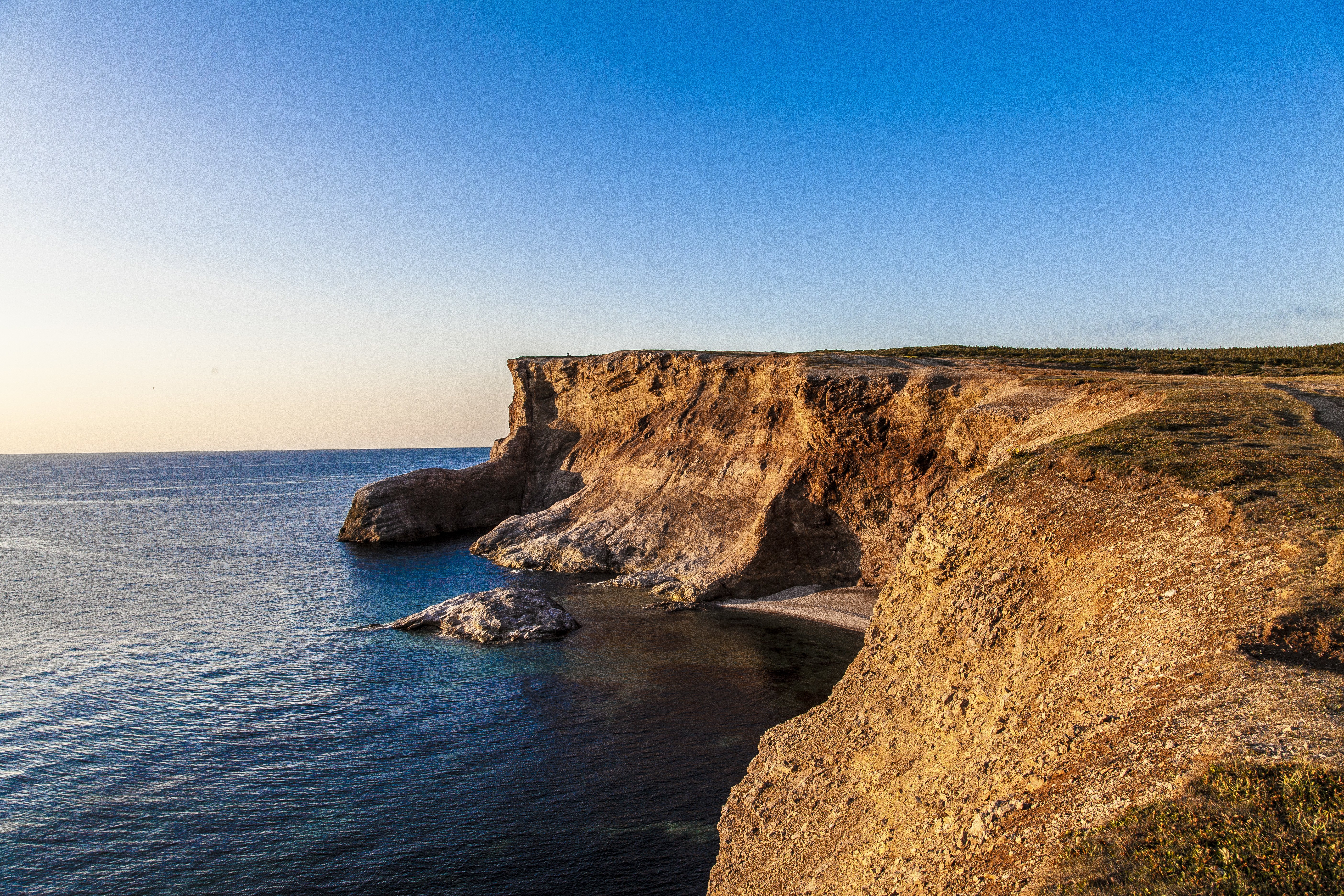 Joe Brazil - Newfoundland Canvas
