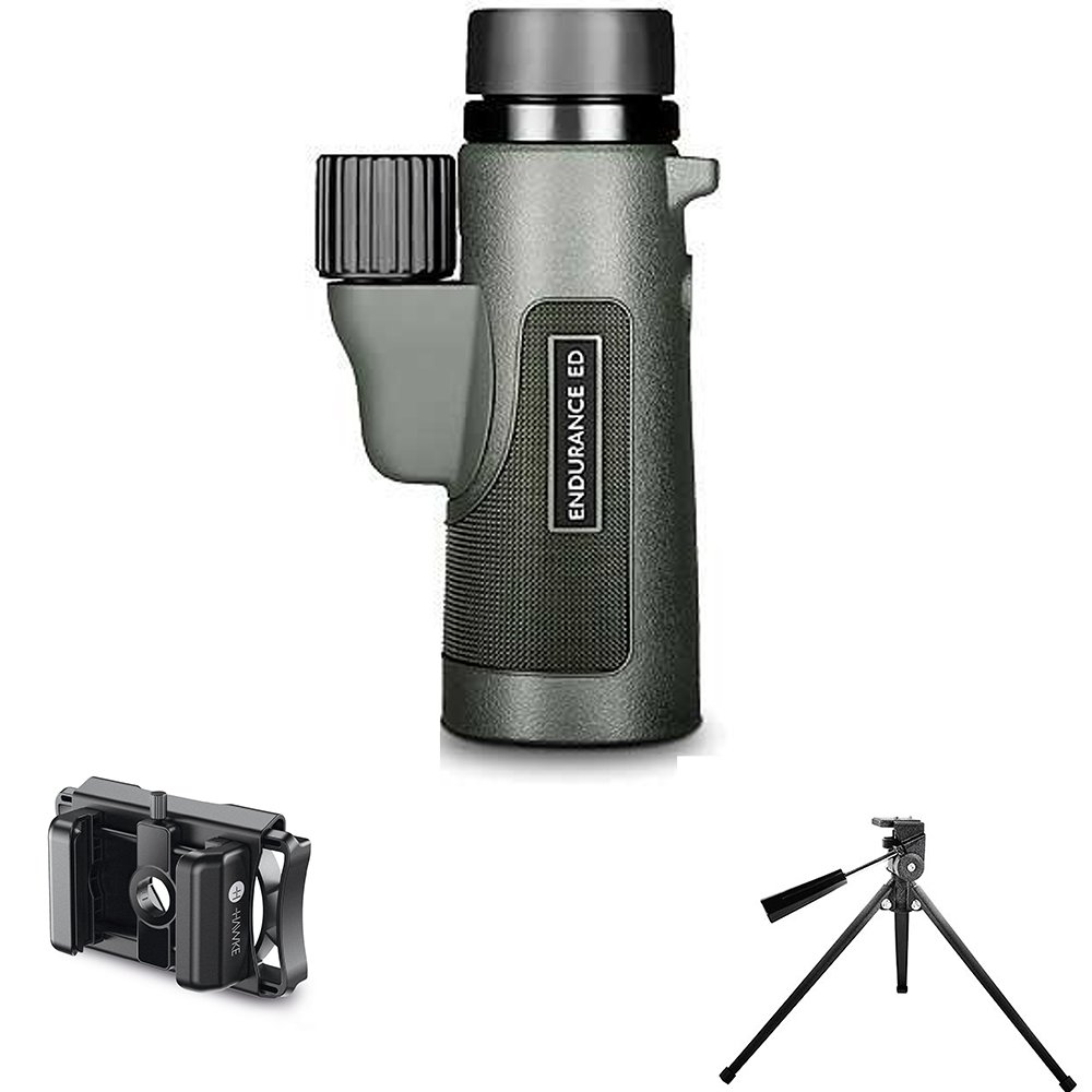 Hawke Endurance ED 10x42 Monocular + Hawke Table Top Tripod + Hawke ...
