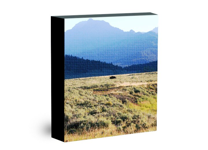 Mike's Camera 16 x 20 Canvas Print (Black Wrap) 1/2 inch bar - Mike's ...