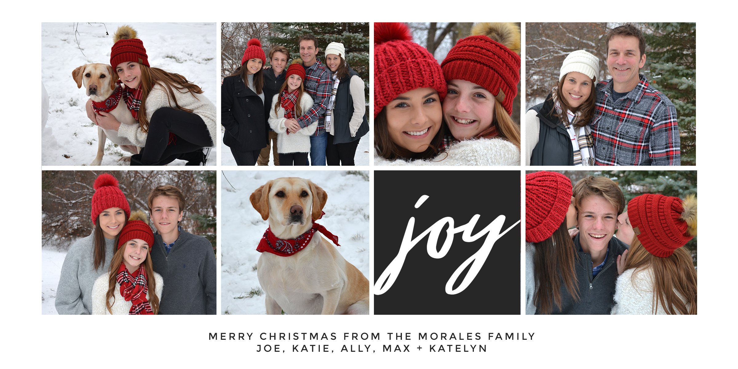 4x8 Flat Card 1-Sided Photo Paper (19-004) - Mike's Camera