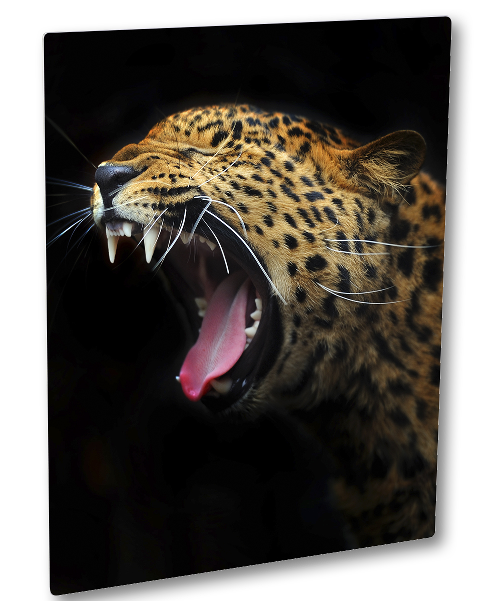 Mike's Camera 8x12 Metal Print - Mike's Camera