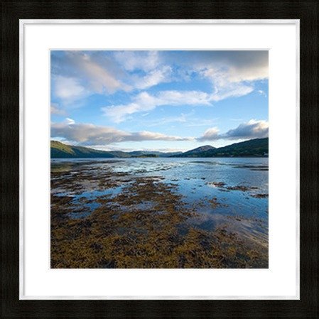 First 4 Frames 12 x 12 Square - First 4 Frames